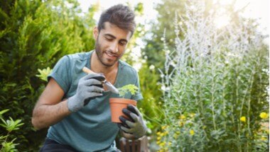 Ogrodnik | Poznaj zawód | Mapa Karier